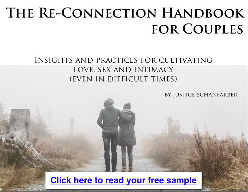 The Re-connection handbook for couples - by Justice Schanfarber - web ...